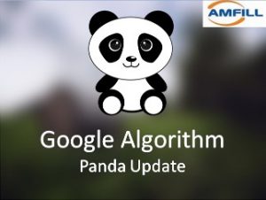 What Are Google Algorithms? | Amfill Digital Solutions