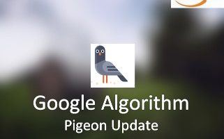 Google Algorithm Pigeon Update | Amfill